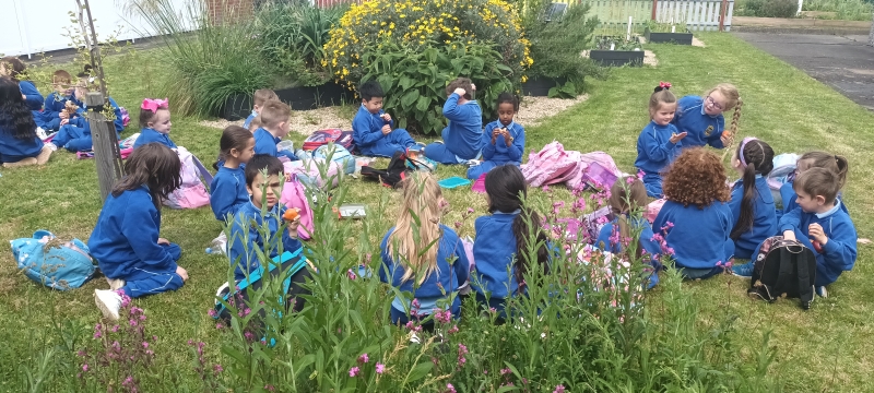 Marist Primary School