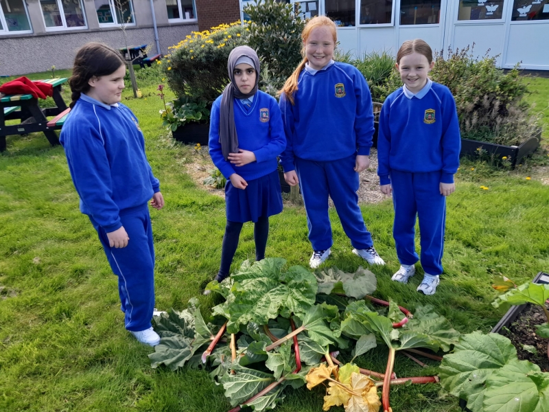 Marist Primary School