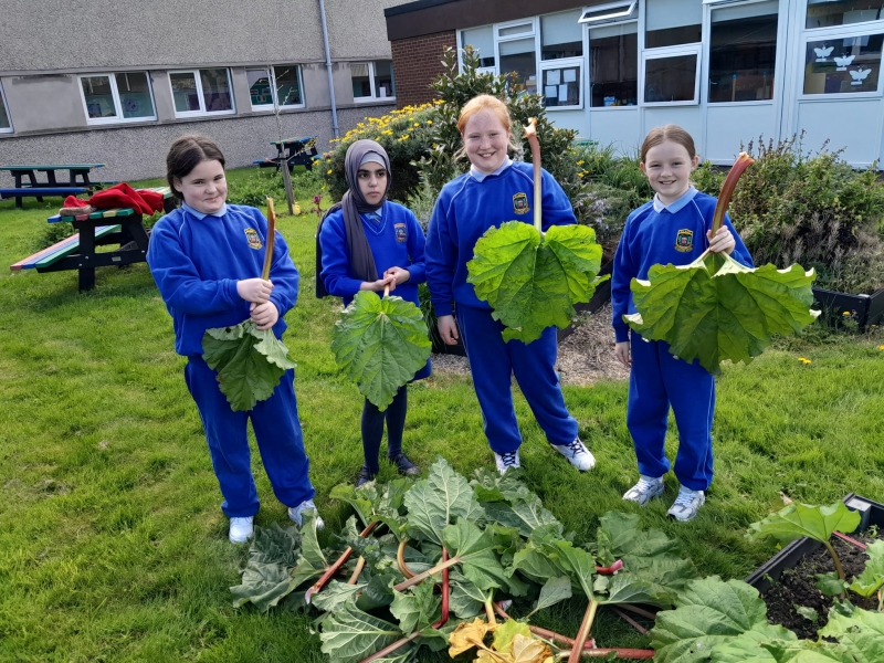 Marist Primary School